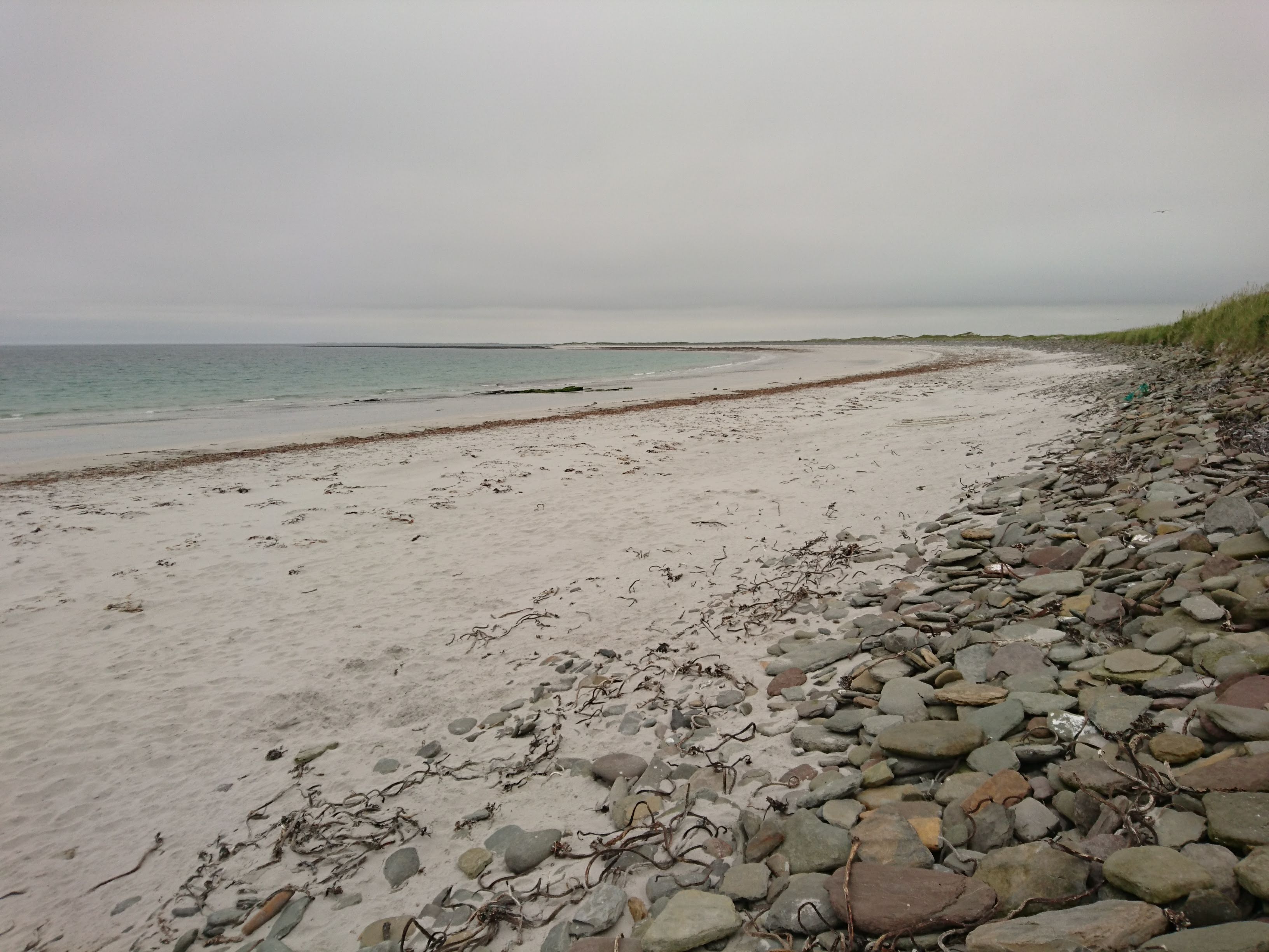 Secrets of the Strandline – Shetland Community Wildlife Group