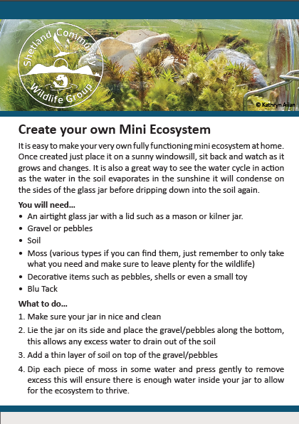Summer Holiday Project #5- Create your own Mini Ecosystem – Shetland ...
